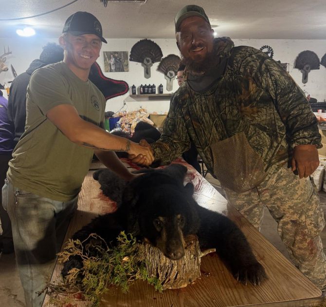 Beginner Bear Hunting Trips in Minnesota | Blackbear