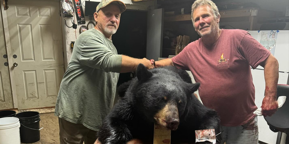 Minnesota Bear Hunting | World-Class Trips | Book Now