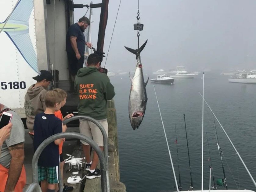 Premium Bluefin Tuna Fishing in Boston | Legit Fish