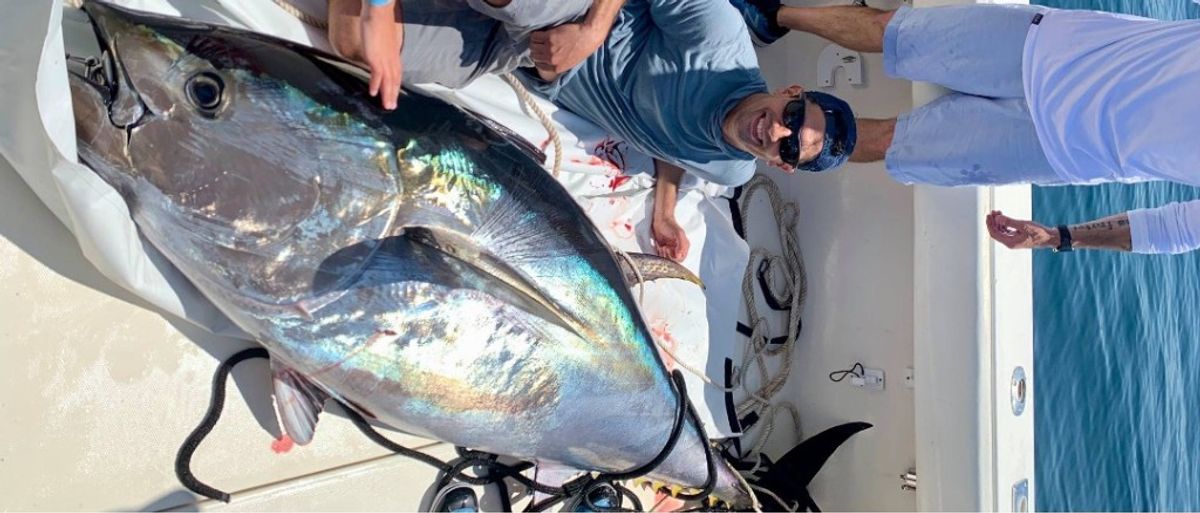 World-Class Bluefin Tuna Fishing in Boston | Legit Fish