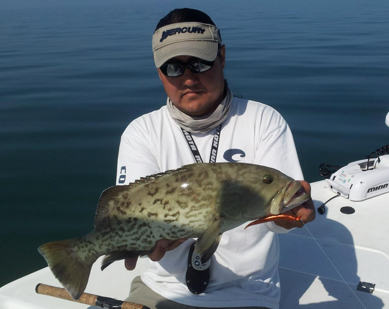 Top-Rated Crystal River Grouper Fishing Charter