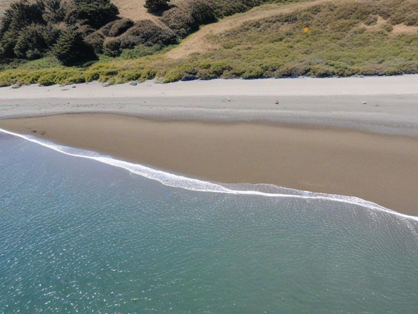 Explore 5 Must-See Highlights of Bodega Bay!