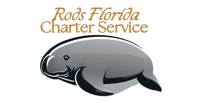 Discover Homosassa's hidden treasures with Captain Rod.