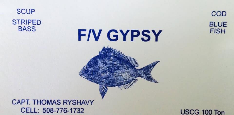 Prized Fish in Cape Cod Waters: Learn More