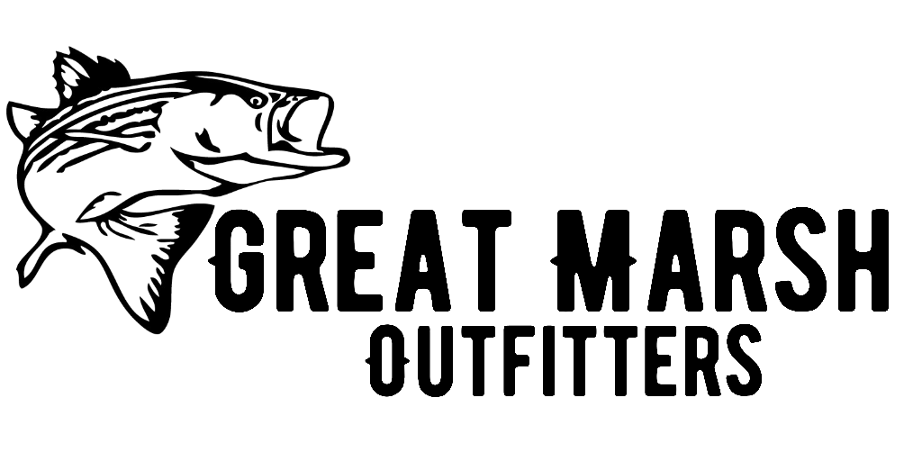 Gloucester's Fish Species: Dive into Aquatic Wonders!