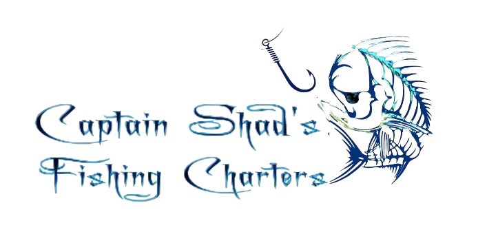 Calabash Fish Fiesta: Discover the Species!