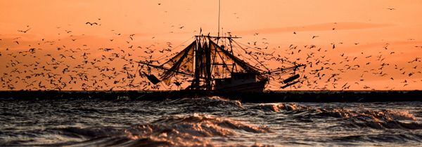 Discover Carrabelle with Captain Scott Luke