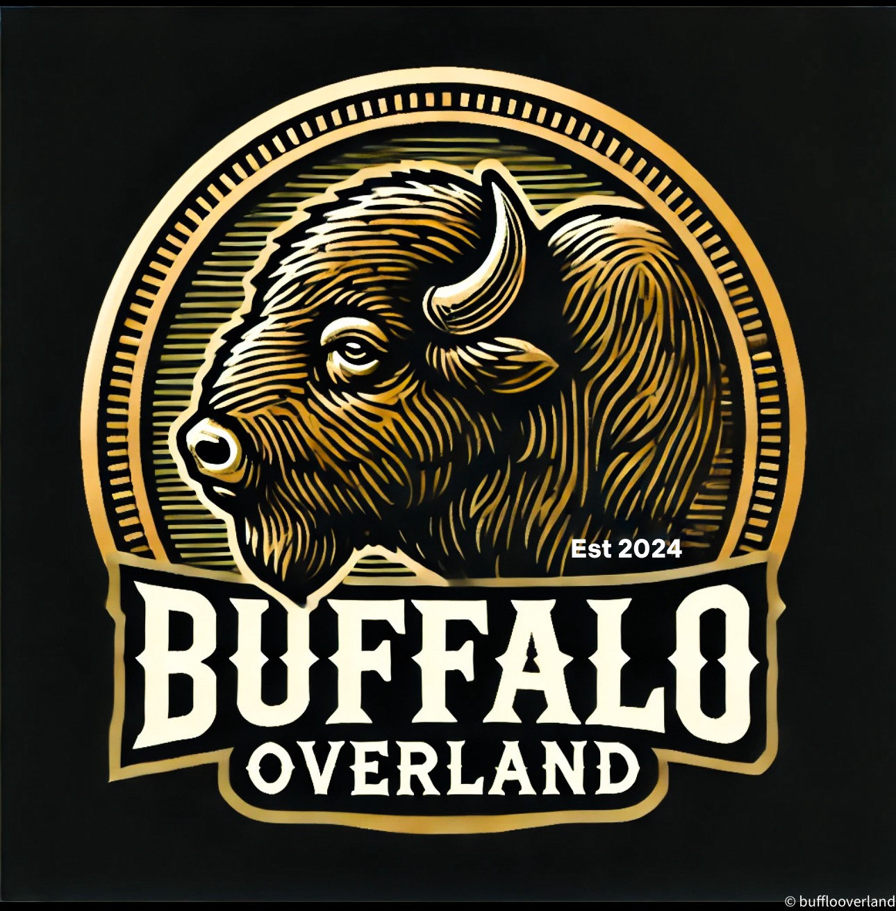 Book Buffalo Overland on Guidesly
