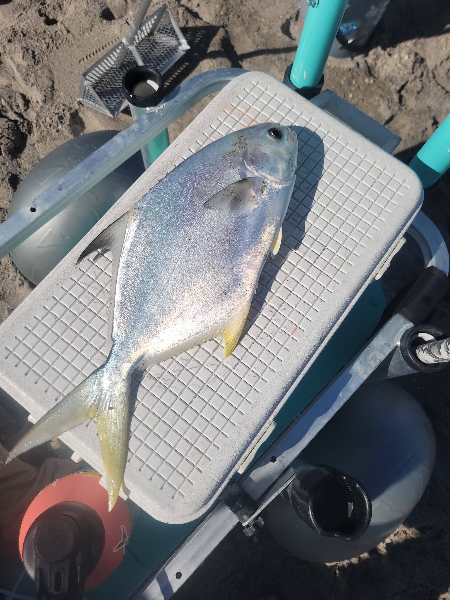 Surf Fishing Society | Space Coast Surf Fishing Membership