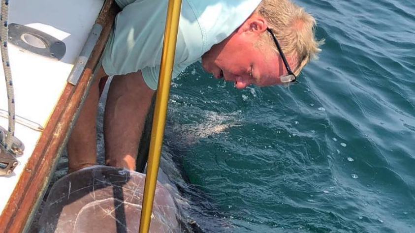 JenniferAnn Sportfishing Charters in Eastham MA | UPDATED 2026 PRICES