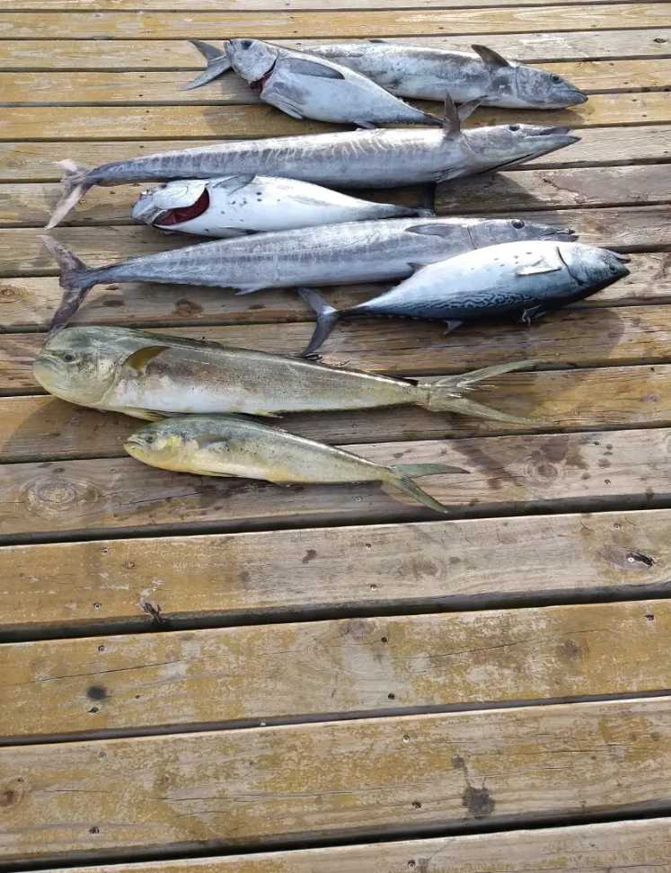 North Carolina Fishing Charter Photos | Atlantic Blue Charters