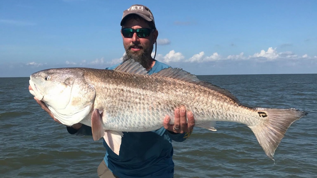 Venice Fishing Charter Prices | Fish Killin Charters